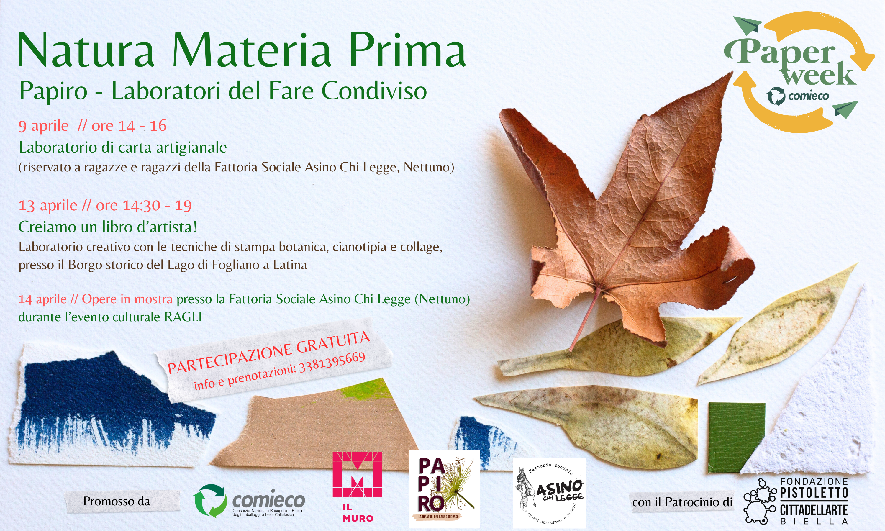 NATURA MATERIA PRIMA - Comieco